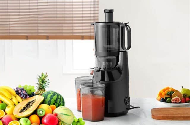 German Chef Slow Juicer Review - Kofi Juice Hene | Start & Grow Your ...